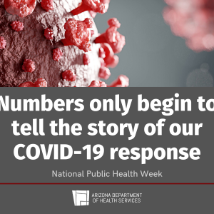 IT Team has Integral Role with Launch of New RBHA’s – AZ Dept. of ...